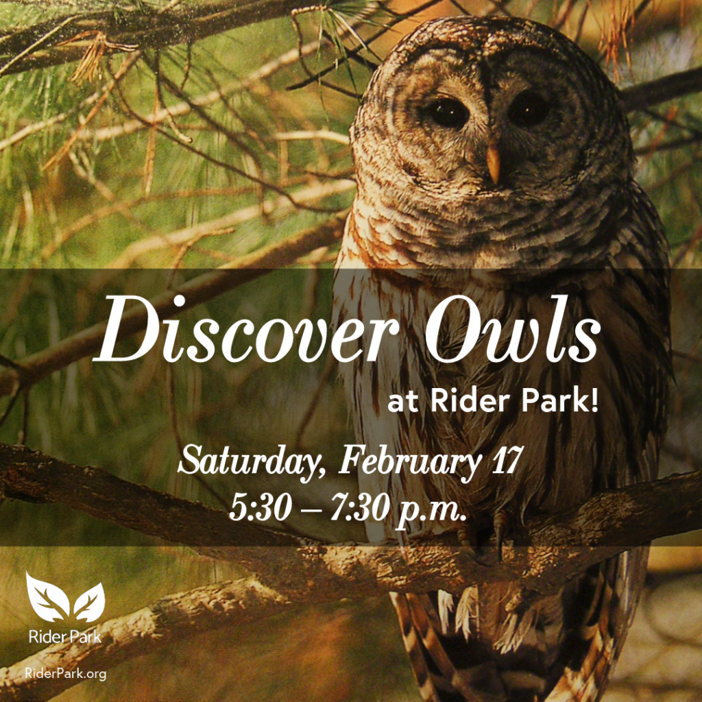 Discover Owls at Rider Park! - First Community Foundation Partnership