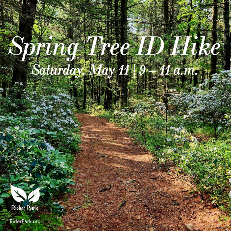 Spring Tree ID Walk - First Community Foundation Partnership